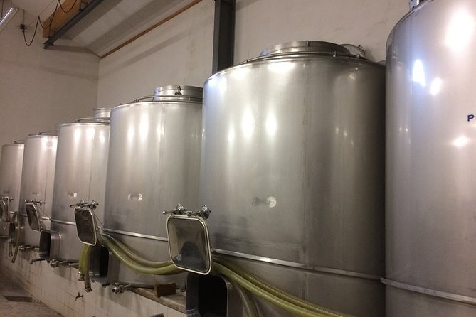 Beaujolais Wines & Castles - Private Tour - Half Day - Who Should Book This Tour?