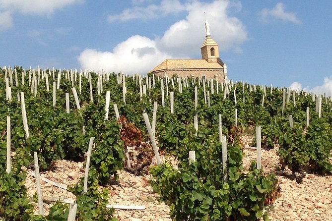 Beaujolais Wines & Castles - Private Tour - Half Day - The Sum Up