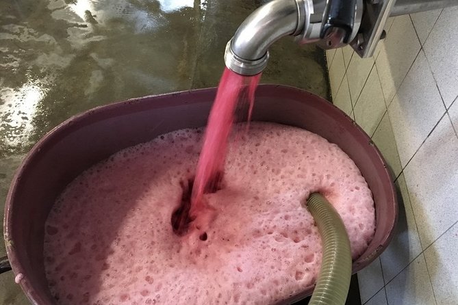 Beaujolais Wines & Castles - Private Tour - Half Day - FAQ