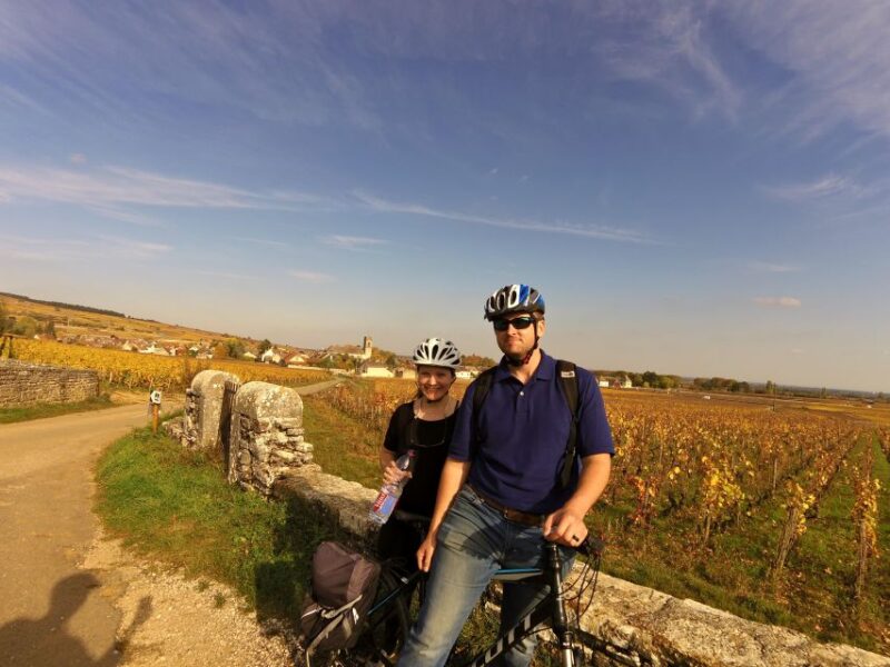 Beaune: Winery Tour by Bike with Wine Tasting - What Reviewers Say