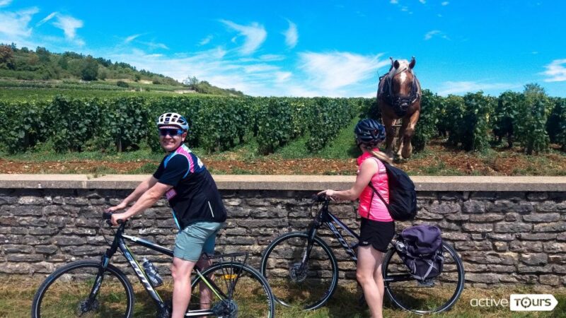 Beaune: Winery Tour by Bike with Wine Tasting - Final Thoughts