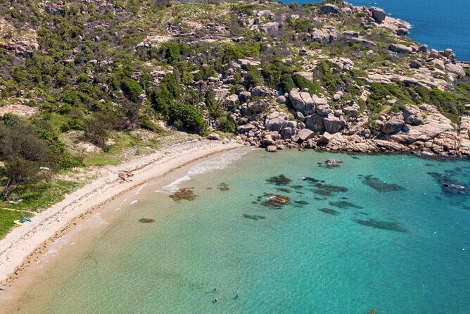 Beautiful Bowen - Beaches and Seafood - Who Is This Tour Best For?
