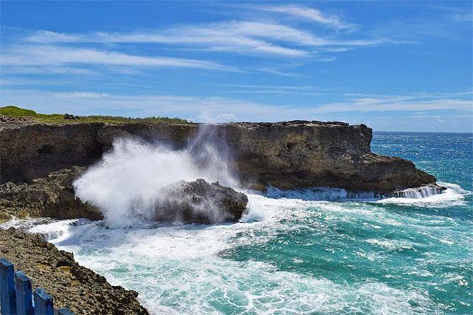 Beautiful Coastal Sightseeing Tour of Barbados - What to Expect from the Tour