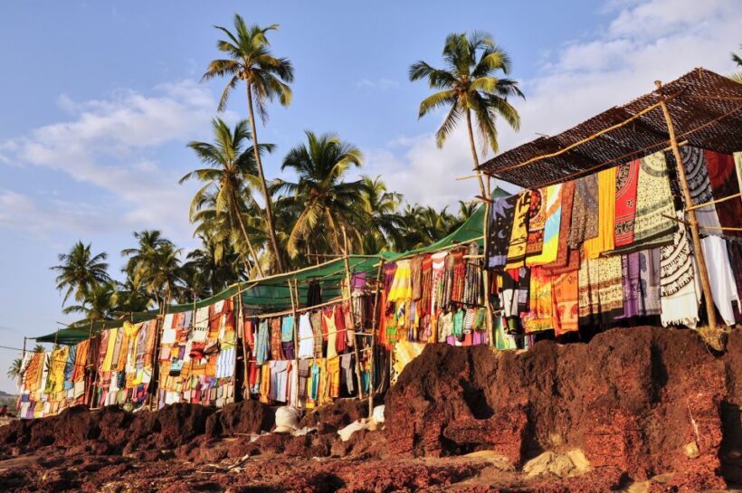 Beautiful Goa Beach Tour - What Travelers Say: Genuine Perspectives