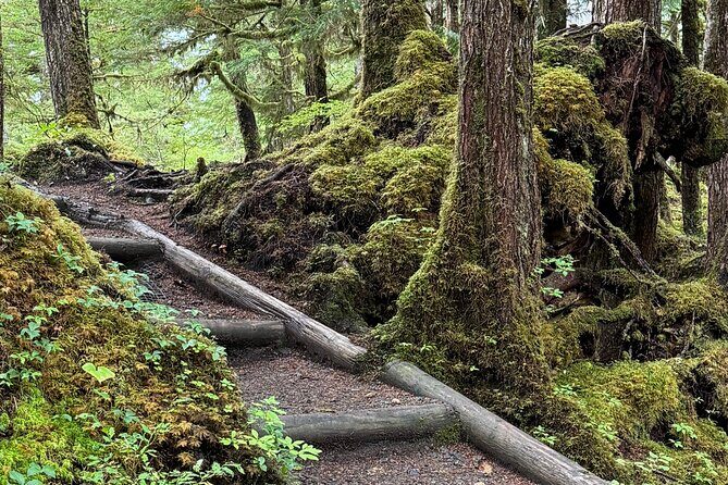 Beautiful Hike on Tongass National Forest's Lunch Creek Trail - FAQ