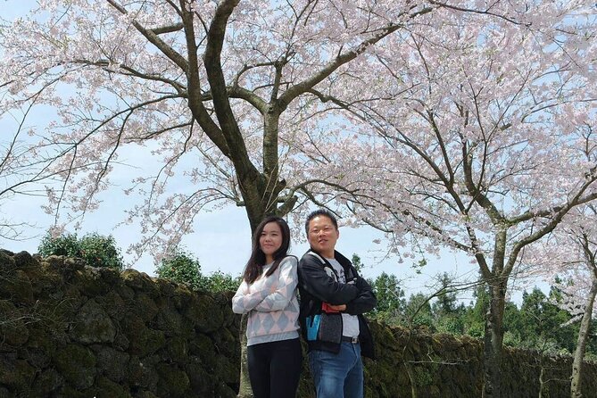 Beautiful Jeju Island Private UNESCO day Tour - Authentic Feedback & Real Experiences