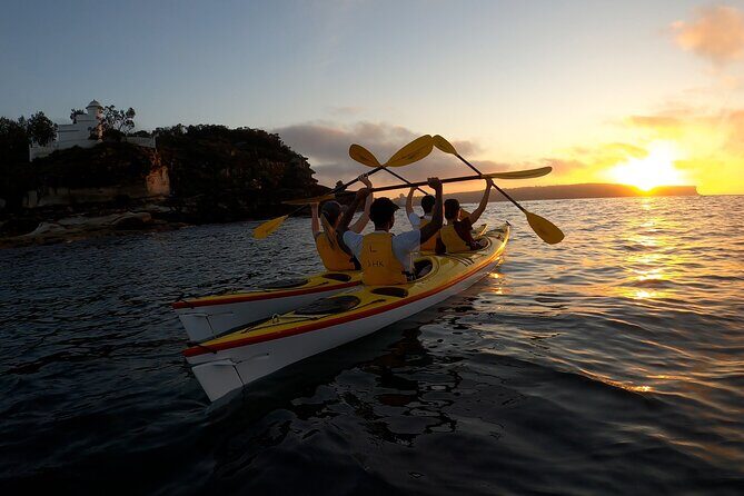 Beautiful Middle Harbour Sunriser / Guided Kayaking Private Tour - Who Will Love This Tour?
