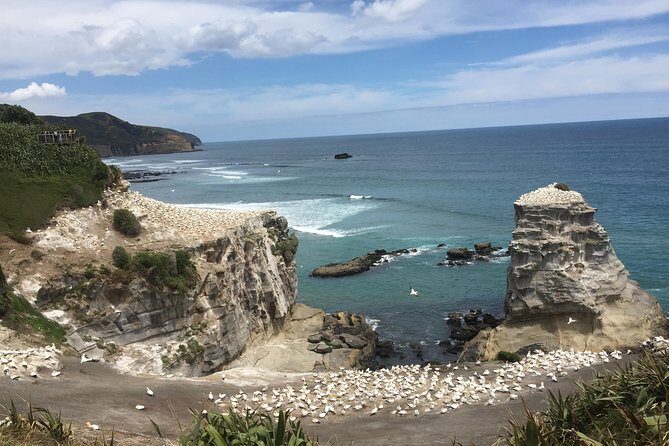 Beautiful Nature Tours Auckland - Private Tour - Key Points