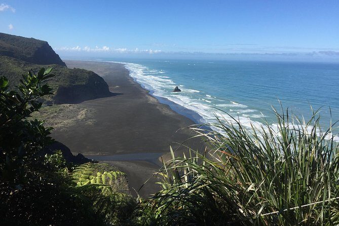 Beautiful Nature Tours Auckland - Private Tour - The Value of a Private, Customizable Tour