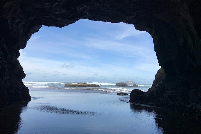 Beautiful Nature Tours Auckland - Private Tour - The Sum Up: Who Should Consider This Tour?