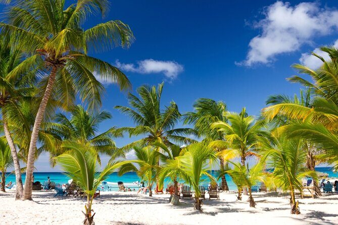 Beautiful Saona Island - Exploring the Itinerary in Detail