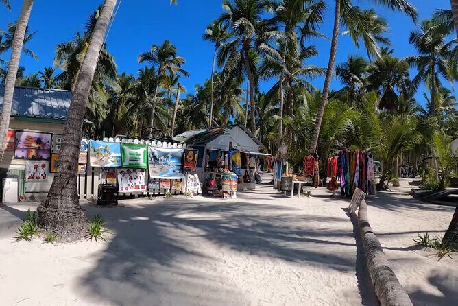 Beautiful Saona Island - Transportation and Group Dynamics