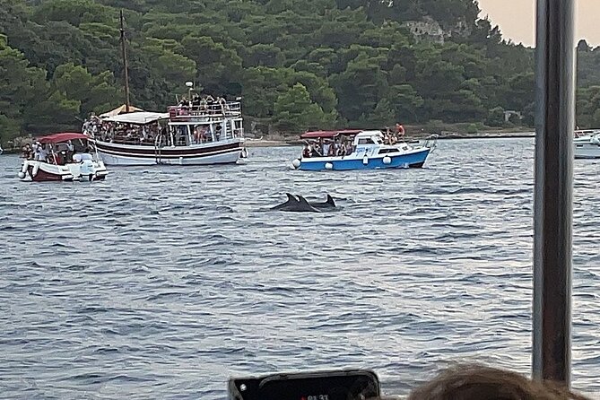 Beautiful Sunset and Dolphin Watching - Key Points