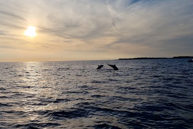 Beautiful Sunset and Dolphin Watching - Customer Feedback and Insights