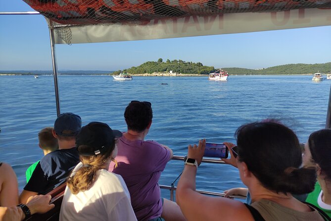 Beautiful Sunset and Dolphin Watching - Additional Activities During the Tour