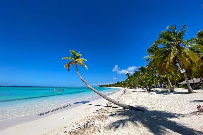 Beautiful Tour Catalina Island from Punta Cana with Transportation Included - Key Points