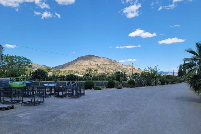 Beautiful Winery in the Alicante - Introduction