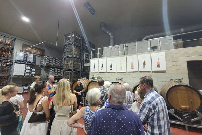 Beautiful Winery in the Alicante - Exploring the Vineyard and Learning the Craft