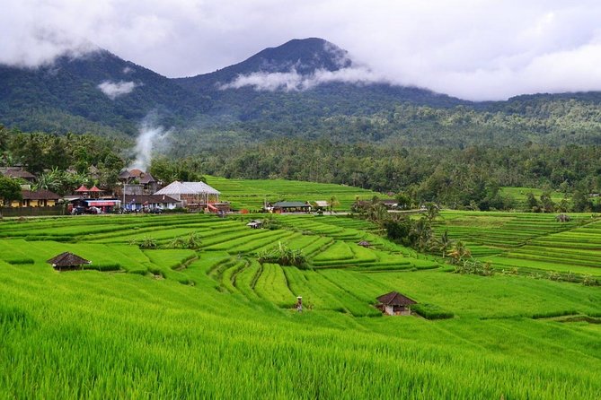 Beauty Of West Bali Tour (Private and All Inclusive) - Why This Tour Is a Good Deal