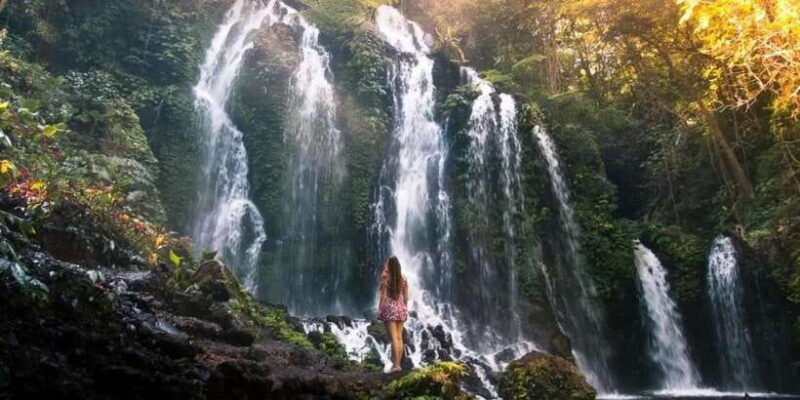 Beauty the Nature North of Bali Tour - Exploring North Bali: A Day of Natural and Cultural Wonders