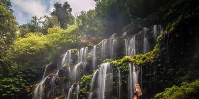 Beauty the Nature North of Bali Tour - Third Stop: Jatiluwih Rice Terrace