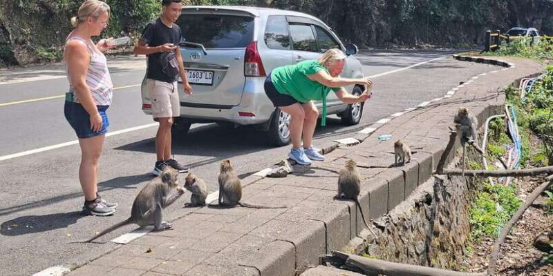 Beauty the Nature North of Bali Tour - Ending the Day: Ancient Temple on the Lake