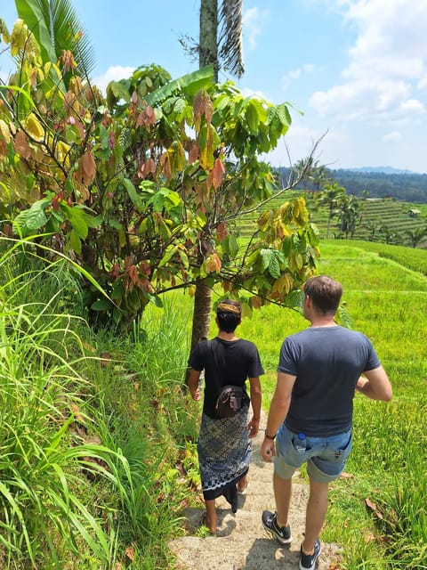Beauty the Nature North of Bali Tour - Is It Worth the Price?