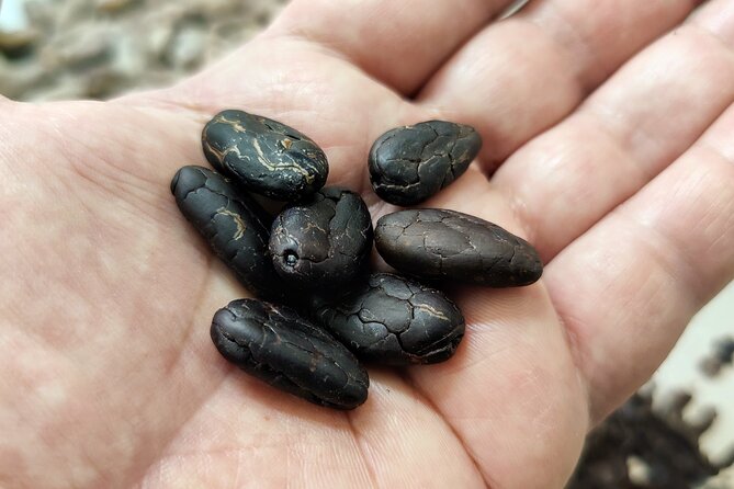 Become a chocolatier for a day, in Modica raw chocolate - Final thoughts