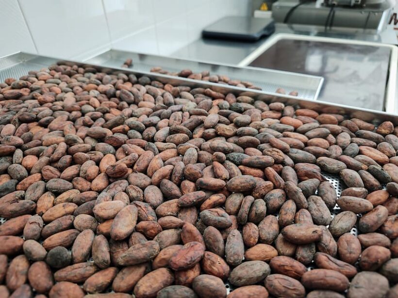 Become a chocolatier for a day! - The Itinerary Breakdown