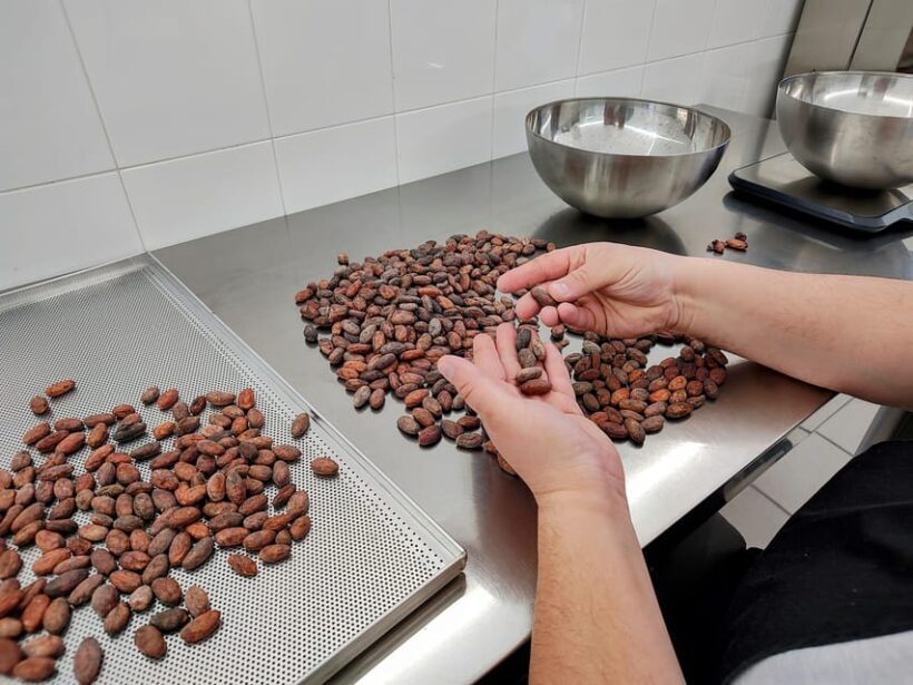 Become a chocolatier for a day! - Final Thoughts