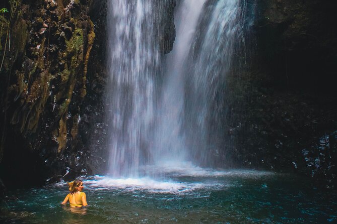 Bedugul and Singaraja Tour - Who Should Consider This Tour?