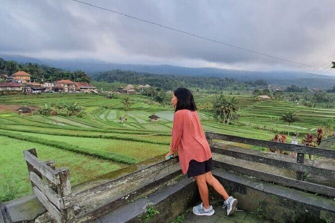 Bedugul Tour, Tanah Lot Temple with Kecak Show & Sea Food Dinner by Ocean View - Who Is This Tour Best For?