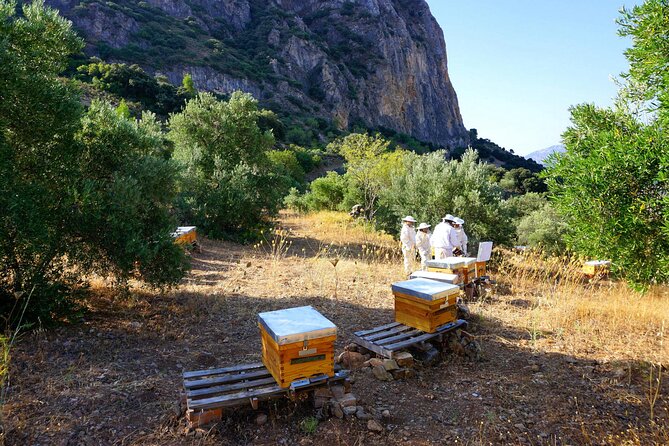 Bee Excursions in the Sierra de Cadiz - Why This Tour Represents Value