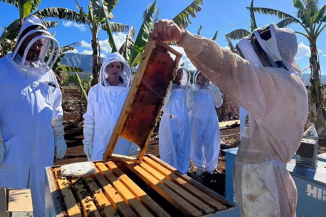 Bee Farm Ecotour and Honey Tasting in Waialua, North Shore Oahu - Honey Tasting Experience