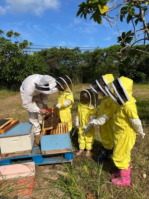 Bee Farm Tour & Honey Tasting - Bee Farm Tour & Honey Tasting: An Authentic Look at Hawaiian Honey and Bees