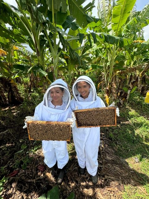 Bee Farm Tour & Honey Tasting - The Sum Up