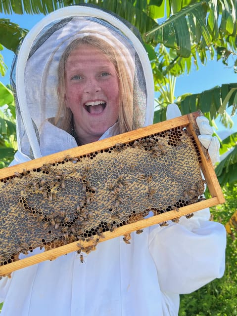 Bee Farm Tour & Honey Tasting - Who Should Consider This Tour?