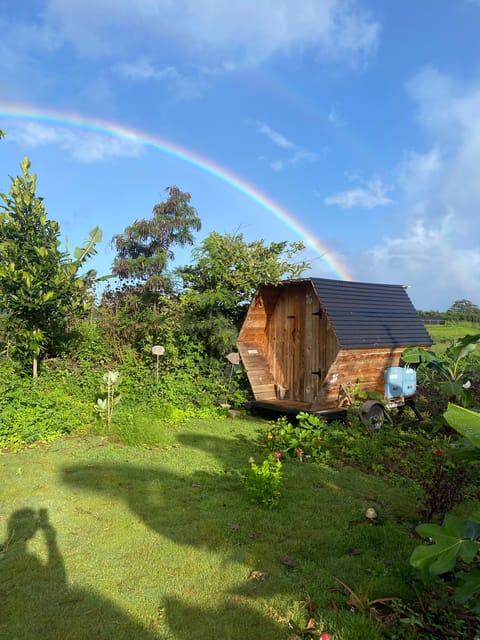 Bee Farm Tour & Honey Tasting - The Sum Up