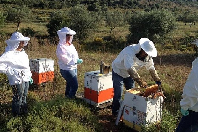 Beekeeper for a Day close to Nafplio - Key Points