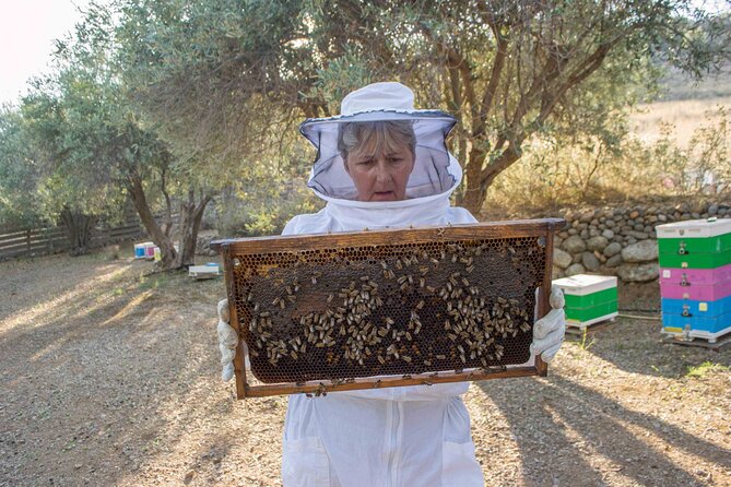 Beekeeping and Honey Stories in Itea - Tasting Honey and Hive Products