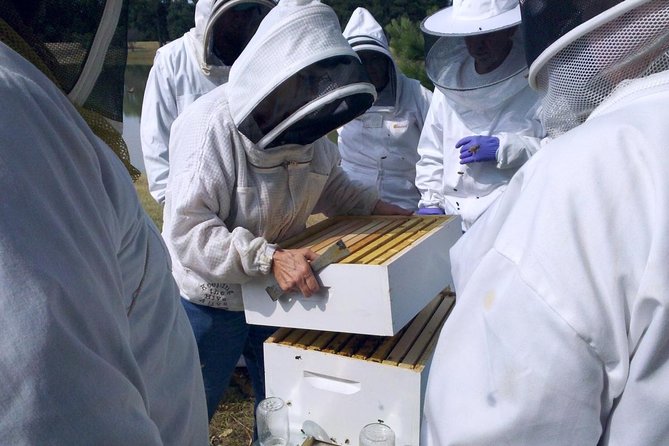 Beekeeping Day Trip| Private Guided Tour from Bucharest - Key Points