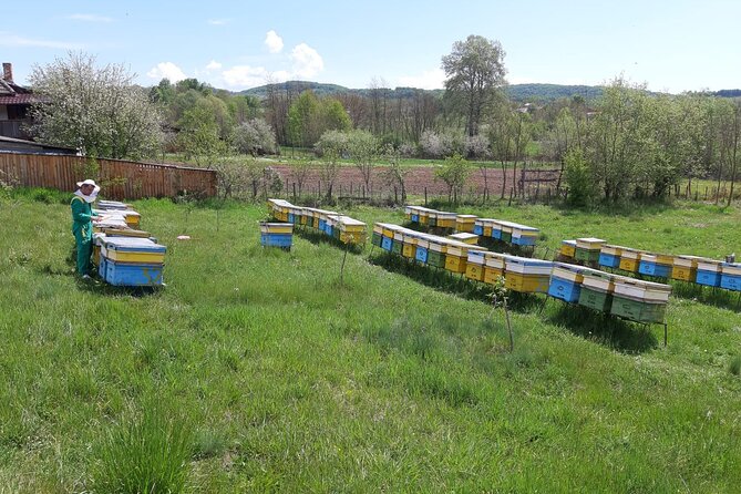 Beekeeping Day Trip| Private Guided Tour from Bucharest - An In-Depth Look at the Beekeeping Day Trip