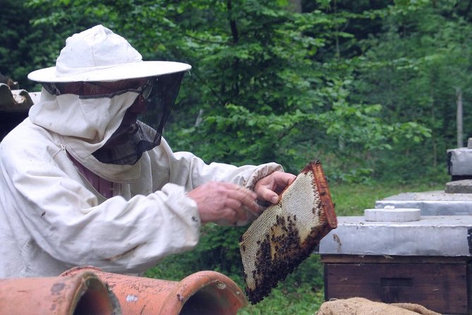 Beekeeping Day Trip| Private Guided Tour from Bucharest - Final Thoughts