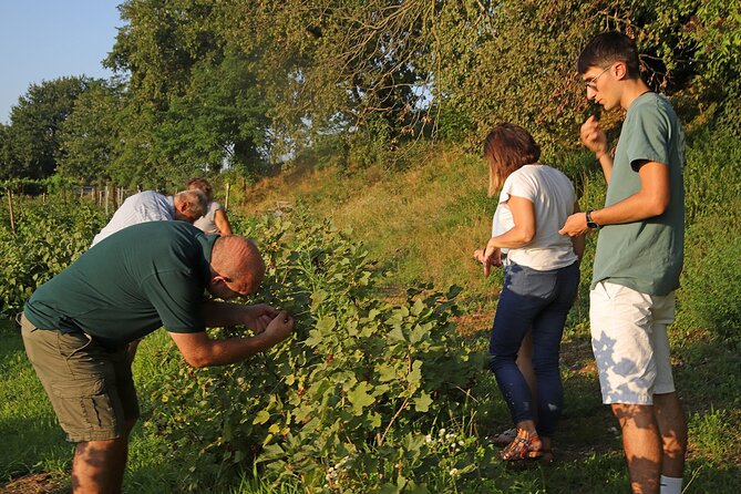 Beekeeping Farm Tour and Tasting Experience in Lazise - Positive Guest Feedback and Testimonials