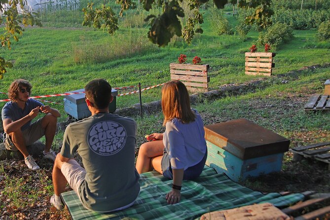 Beekeeping Farm Tour and Tasting Experience in Lazise - Recommendations for Future Visits and Purchases