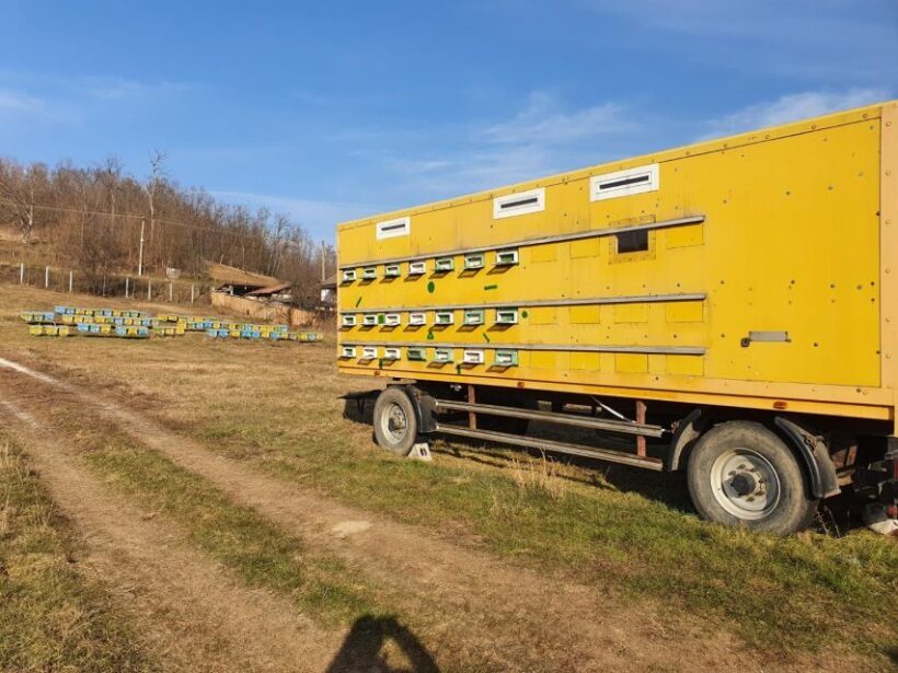 Bees in Romania - Private Beekeeping Lesson and Local Lunch - FAQ