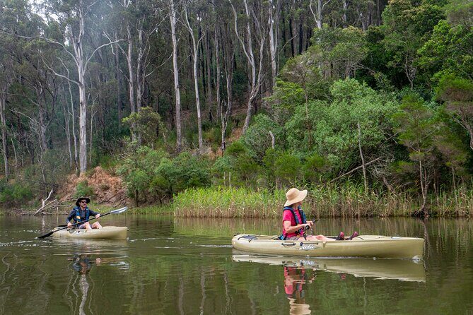Bega River Kayaking Tour - An In-Depth Look at the Bega River Kayaking Experience