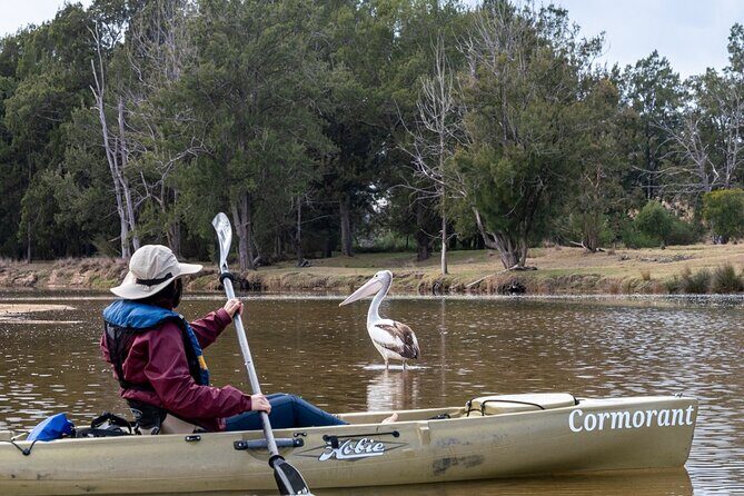 Bega River Kayaking Tour - Final Thoughts