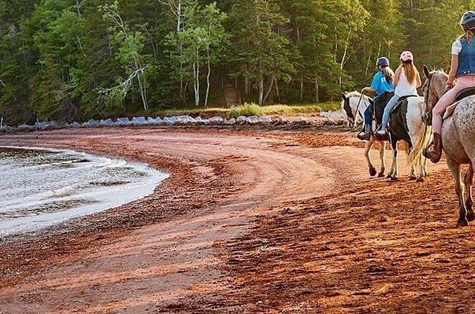 Beginner Brudenell Beach Trail Ride - The Sum Up