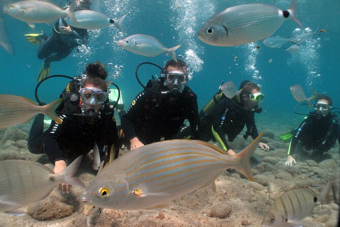 Beginner Dive From Playa Chica With Instructor - Included Features